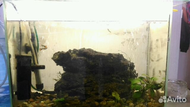 Аквариум