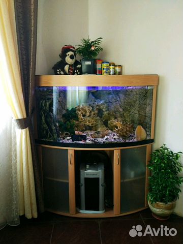 Аквариум угловой панорамный фильтр jbl