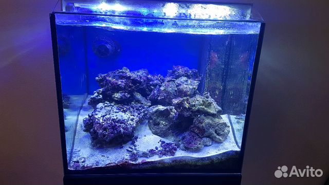 Морской аквариум С камнями И песком