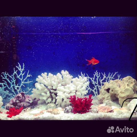 Аквариум 145 литров. Aquarium Bio Design