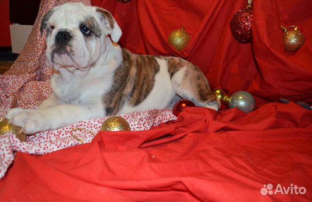 Детки -Философы