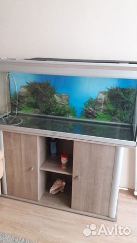 Аквариум