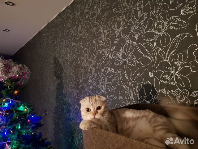 Вязка