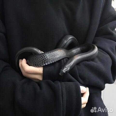 Нигрита(Lampropeltis getula nigrita)