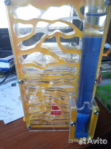 Формикарий+колония муравьев