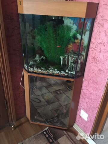 Аквариум