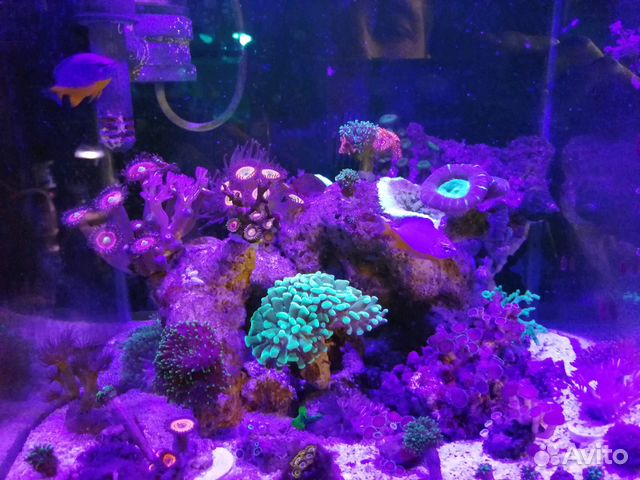 Морской аквариум 30 литров с оборудованием