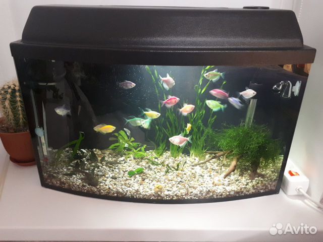 Продам аквариум
