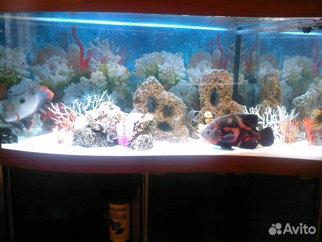 Аквариум 270л