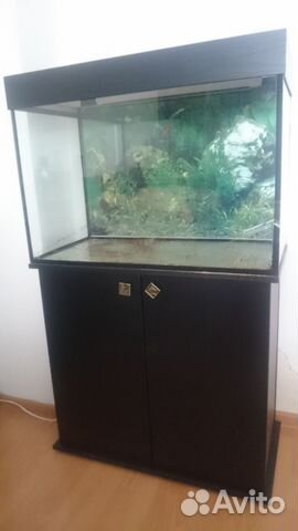 Продам аквариум со всем необходимым для запуска