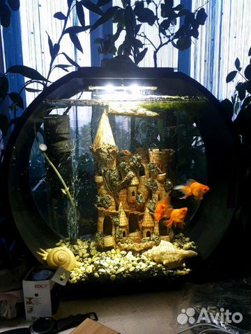 Аквариумaa-Aquariums Deco O Max 54 л