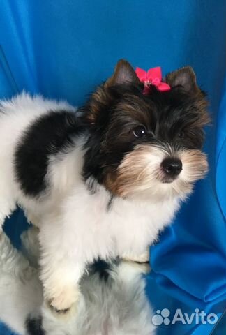 Давайте жить вместе