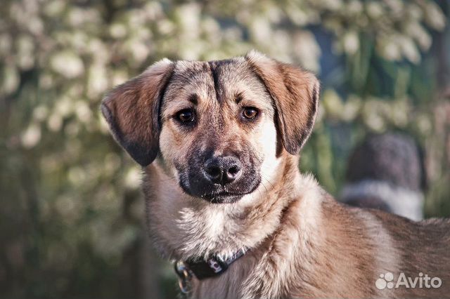 Ника богиня семейного счастья в поисках семьи