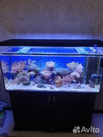 Светильник cyrex LED CLL-428, морской