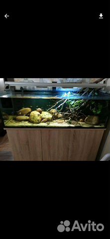 Продам готовый аквариум