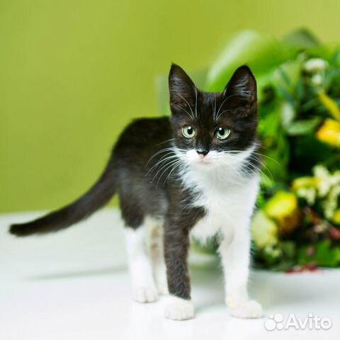 Юный Бэтмен отдаётся лучшим людям