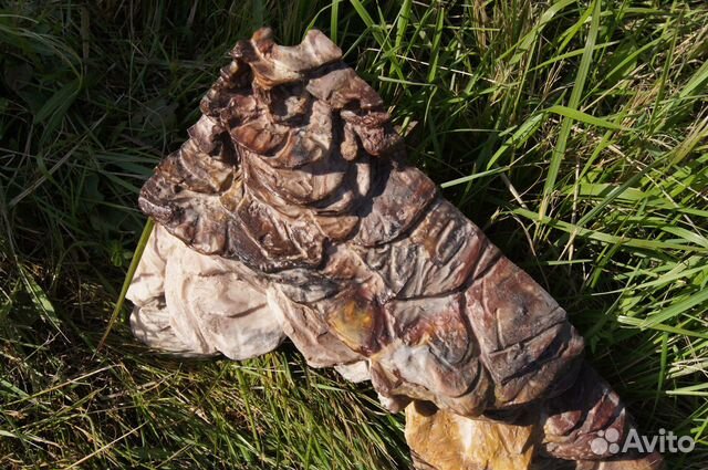 Черепаший берег для террариума средний и камни