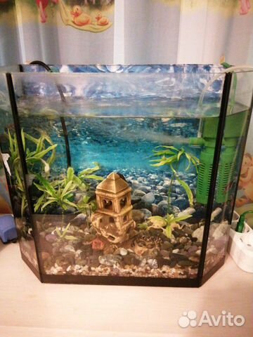 Продам аквариум
