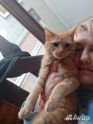 Кошечка Маринка