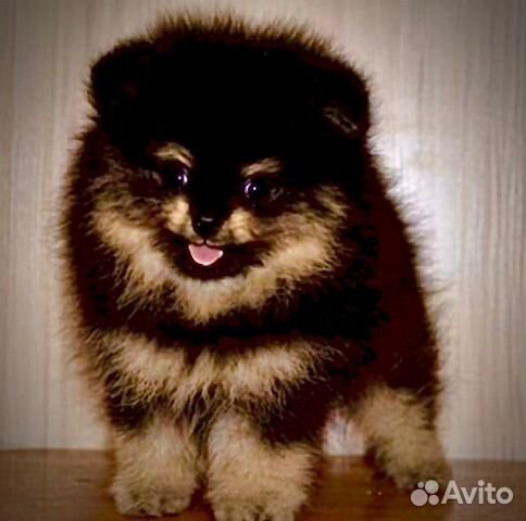 Малыши карандаши