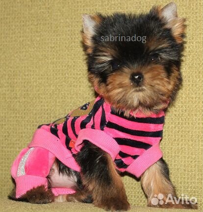 Мальчик и девочка