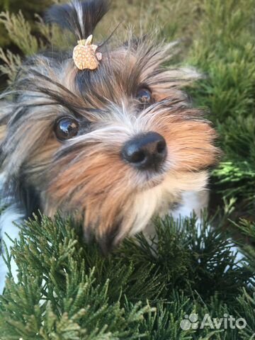 Очаровательный малыш