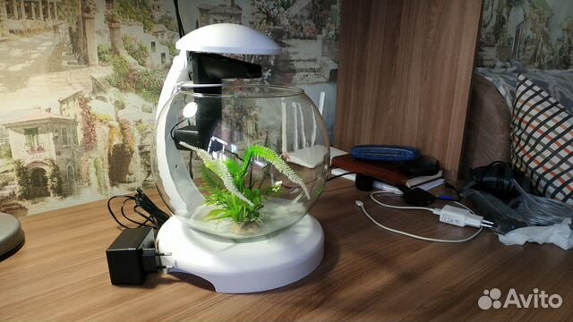 Аквариум (Аквариумный комплекс tetra Cascade Globe