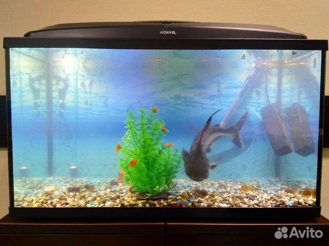 Большой аквариум (почти 150 литров)