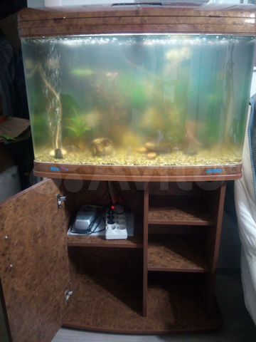 Аквариум с тумбой