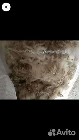 Шерсть мериноса