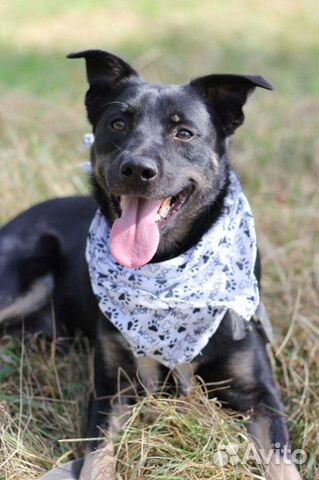 Только ты сможешь позаботиться о нем