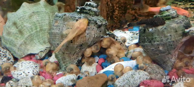 Украшение для аквариума