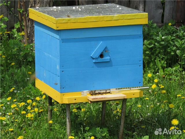 Ульи, пчёлы