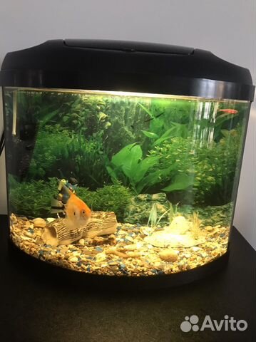 Аквариум