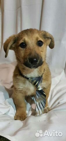 Мальчик 2,5 мес