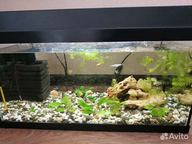 Аквариум 80 л