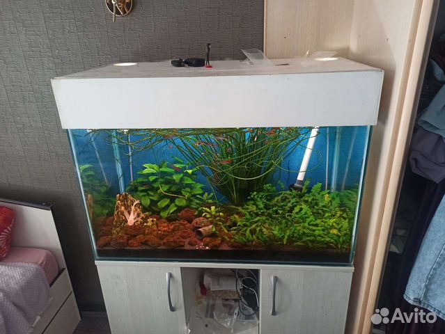 Аквариум