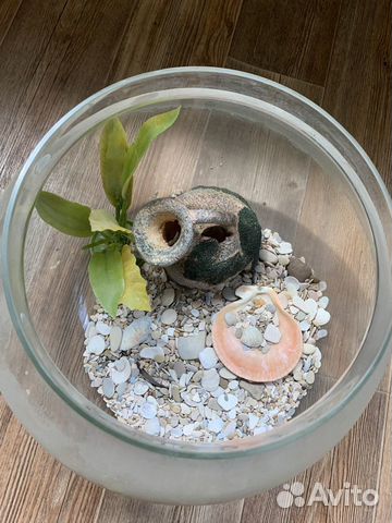 Аквариум круглый