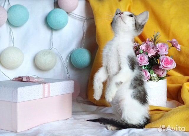 Малышке нужна операция и дом