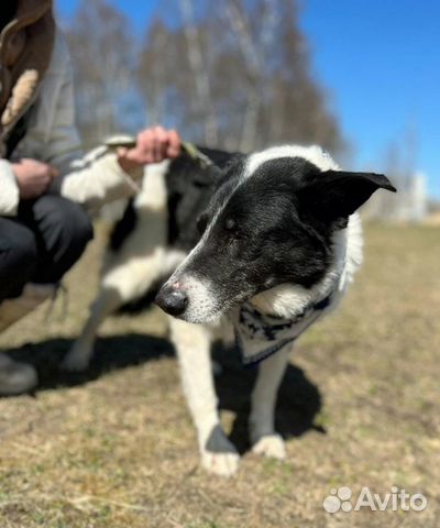 Ей страшно умереть в приюте