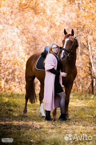 Продам лошадь