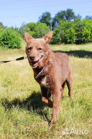 Пусть не старость, А зрелость нуждается В уюте