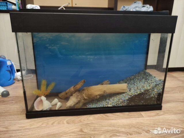 Аквариум