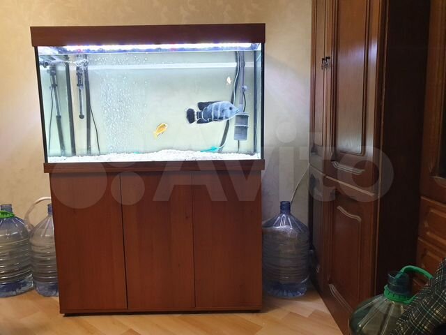 Аквариум Биодизайн Риф 240