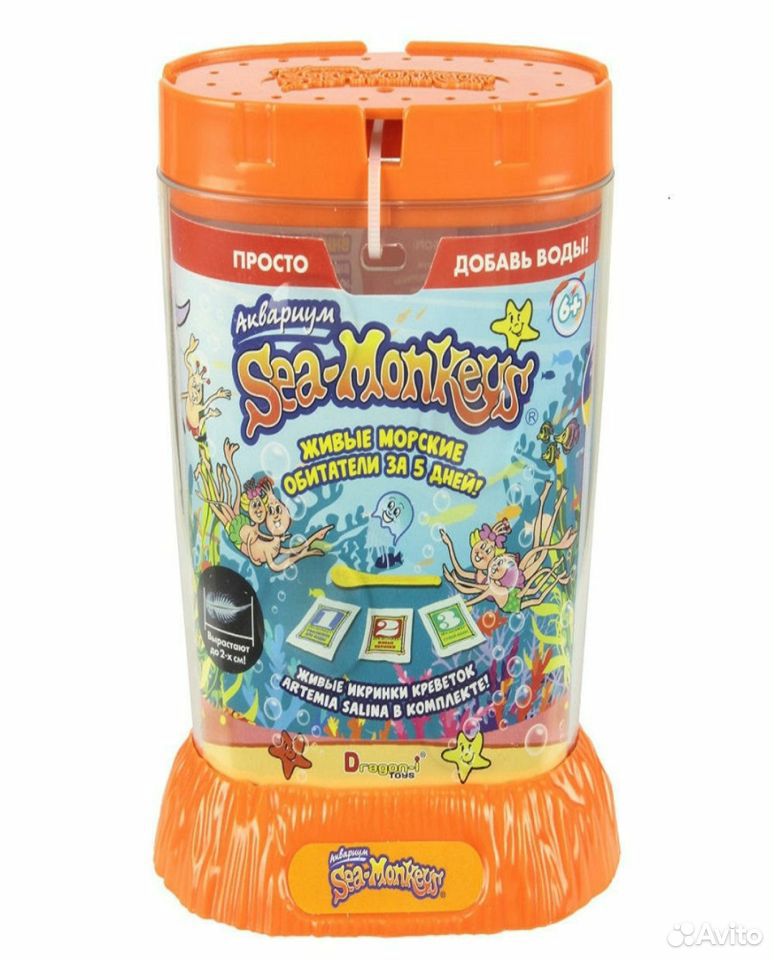 Мини аквариум с креветками