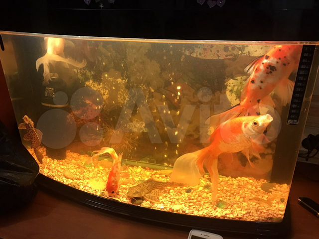 Аквариум,рыбки и аксессуары